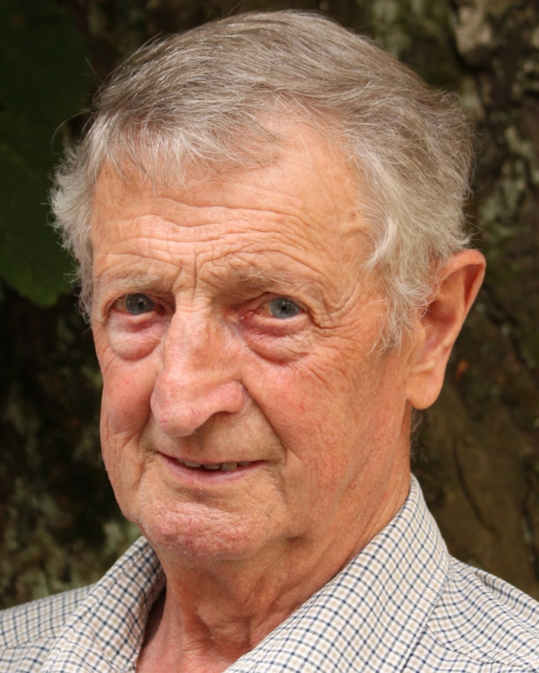 Bestattung Patrick Hamminger